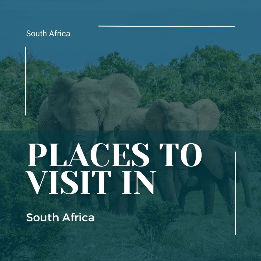 Places to Visit in South Africa in Winter